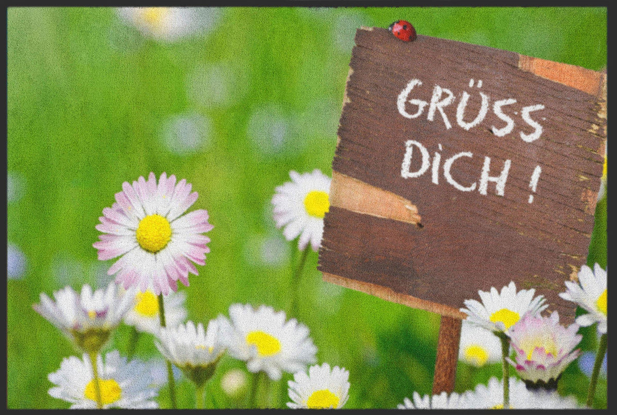 Fussmatte Grüss Dich 4739 – Logomatten Welt